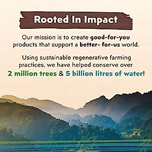 Big Tree Farms Organic Coco Aminos, Teriyaki Flavor, Soy Free, Vegan, Gluten Paleo, Certified Kosher, Whole30, Non GMO, Low Glycemic, Sodium, Sauce & Marinade Substitute, 10 oz (Pack of 2)
