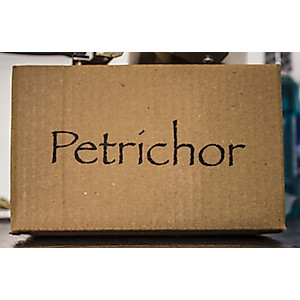 Petrichor Original Nepali 5 Mukhi Rudraksha Round Bead (Colour: Brown)