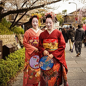 VANVENE 5 Pack Japanese Foldable Fan,Folding Hand Fan,Collapsible Hanheld Fans for Wedding Party Favors Decorations Portable