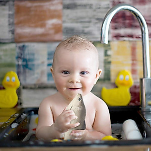 BigOtters 4PCS Fake Fish, Artificial Sea Fish Realistic Fish Playset Model Food Display Kids Favor Toy Kitchen Decor Photography Props