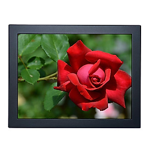 iChawk 12.1'' inch Monitor 800x600 4:3 AV BNC HDMI-in Built-in Speaker Remote Control LCD Screen for Industrial Equipment, PC Display with USB Interface Small Video Player Pluggable U-Disk W121MN-591