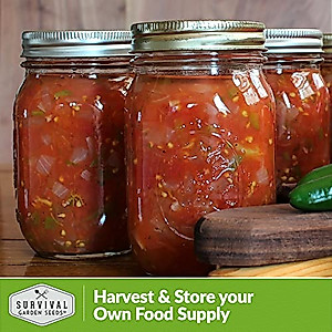 Survival Garden Seeds - Mortgage Lifter Tomato Seed for Planting - Pack with Instructions to Plant and Grow Huge Delicious Tomatoes in Your Home Vegetable Garden - Non-GMO Heirloom Variety or Planting