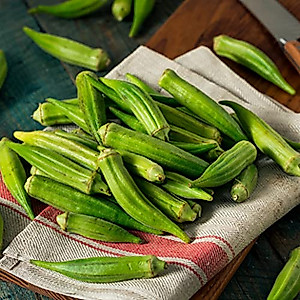 TKE Farms-Clemson Spineless Okra Seeds for Planting, 6 Grams ≈ 100 Seeds, Abelmoschus esculentus
