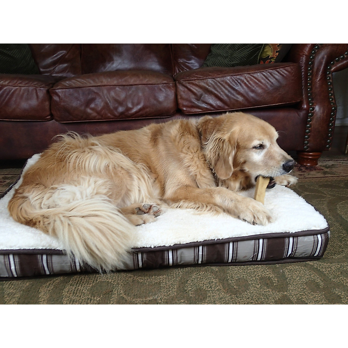 Yak Snak Dog Chews - All Natural Hard Cheese Himalayan Dog Treats - Long Lasting Dog Chews, Made from Yak Milk, Small, Medium. Large & Extra Large Sizes (XXL 1-Pack)