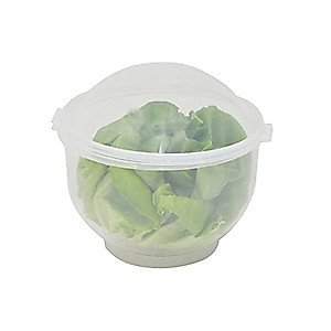 Lettuce Keeper | Vegetable and Fruit Crisper | Lettuce Crisper Salad Keeper Container Keeps your Salads and Vegetables Crisp and Fresh-7" X 8"- by Home-X