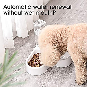 Bibabala Automatic Pet Feeder and Water Dispenser, 2 in 1 Feeder Bowl with Water Bottle Detachable, Fit for Small Dogs and Cats Kitten Puppy Rabbit Bunny(White)