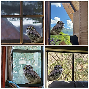 ROLY BEE 8.2 x 8.2-inch Realistic Owl Removable Vinyl Sticker for Windows (or Any Flat Surface)