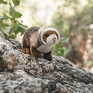 Wildlife Tree 12 Inch Stuffed Black-Footed Ferret Plush Animal Kingdom Collection