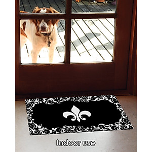 Toland Home Garden 800015 Fleur De Lis Lily Door Mat 18x30 Inch French Outdoor Doormat for Entryway Indoor Entrance