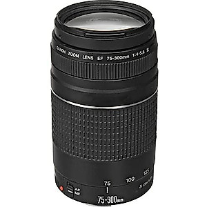 Inspire Digital Canon EOS Rebel 2000D DSLR Camera with 18-55mm is II Lens Bundle + Canon EF 75-300mm f/4-5.6 III Lens and 500mm Preset Lens + 64GB Memory + Padded Case (Renewed)