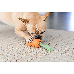 Petstages Carrot Stuffer Treat-Dispensing Interactive Dog Toy