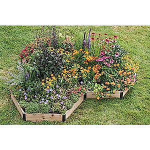 Monarch Butterfly Garden Kit -28 Species of Perennial Milkweed and Wildflower Seeds - If You Grow it Monarchs Will Come - Kids STEM Project - Create a Beautiful Garden Full of Butterflies