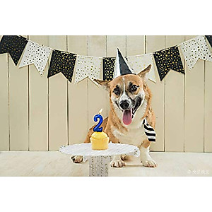 NEWCANDLE Blue Birthday Candles 5 Candle 5th Five Years Cake Bady Roman Numberal Cool Number Candle No 50 51 52 53 54 55 56 57 58 59