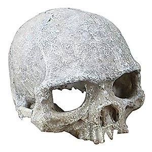 Hewnda Aquarium Decor Resin Artificial Head Skeleton Decoration - Aquarium Otaru Aquarium Decorative Cave Landscape Pet Reptile House