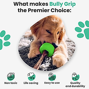 Bully Stick Holder for Dogs - Small Size - Interactive Dog Toy, Dog Treat Holder, Slow Feeder, Treat Dispenser, Chew Toy and Dog Safety Device
