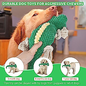Stuffed Dog Toys, Big Dog Squeaky Toys, Plush Toys for Boredom and Stimulating, Cute Stuffing Lizards with Soft Squeaker, Fun Teething Pet Chew Toys