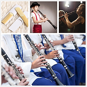 SUEWIO Bb Clarinet Traditional Reeds, Strength 2.5, 10 Pack with Portable Case