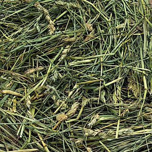 Rabbit Hole Hay - Ultra Premium Coarse Orchard Grass for Small Pets - 20 lb Box - Ideal for Small Pets