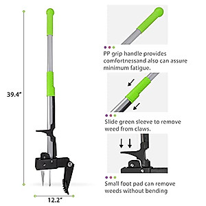ORIENTOOLS Garden Weeder, Stand-up Steel Weeding Root Puller with 39 Inch Long Handle, Labor Saving Dandelions Remover Tool with 4 Claws and Heavy Duty Foot Pedal, No Bending or Kneeling