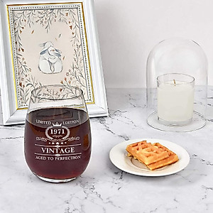 1971 Vintage Wine Glass Funny Birthday Gifts for Men Women - 15 oz Stemless Wine Glass - Ideas for Mom Dad Birthday Anniversary