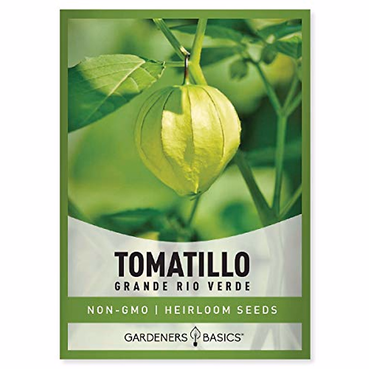 Tomatillo Grande Rio Verde Seeds for Planting Heirloom Non-GMO Seeds for Home Garden Vegetables Makes a Great Gift for Gardening by Gardeners Basics