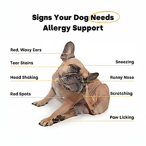 Doggie Greens - Natural Dog Vitamins & Probiotics for Dogs. No Messy Powder. Includes Spirulina, Kelp & Antioxidant Berry Mix. 6-in-1 Dog Supplements & Vitamins Chews. Super Greens for Dogs.