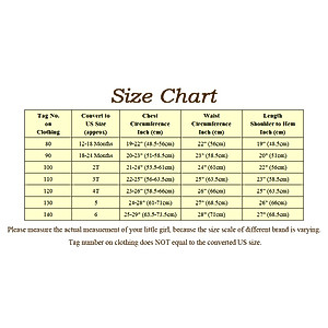 Dressy Daisy Princess Dress with Apron Summer Outfit Casual Wear for Toddler Girls Size 3T