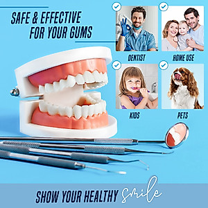 Dental Tools Plaque Remover for Teeth, Stainless Steel Teeth Cleaning Kit, Dental Pick Set for Home Use – Tartar Remover Kit with Case