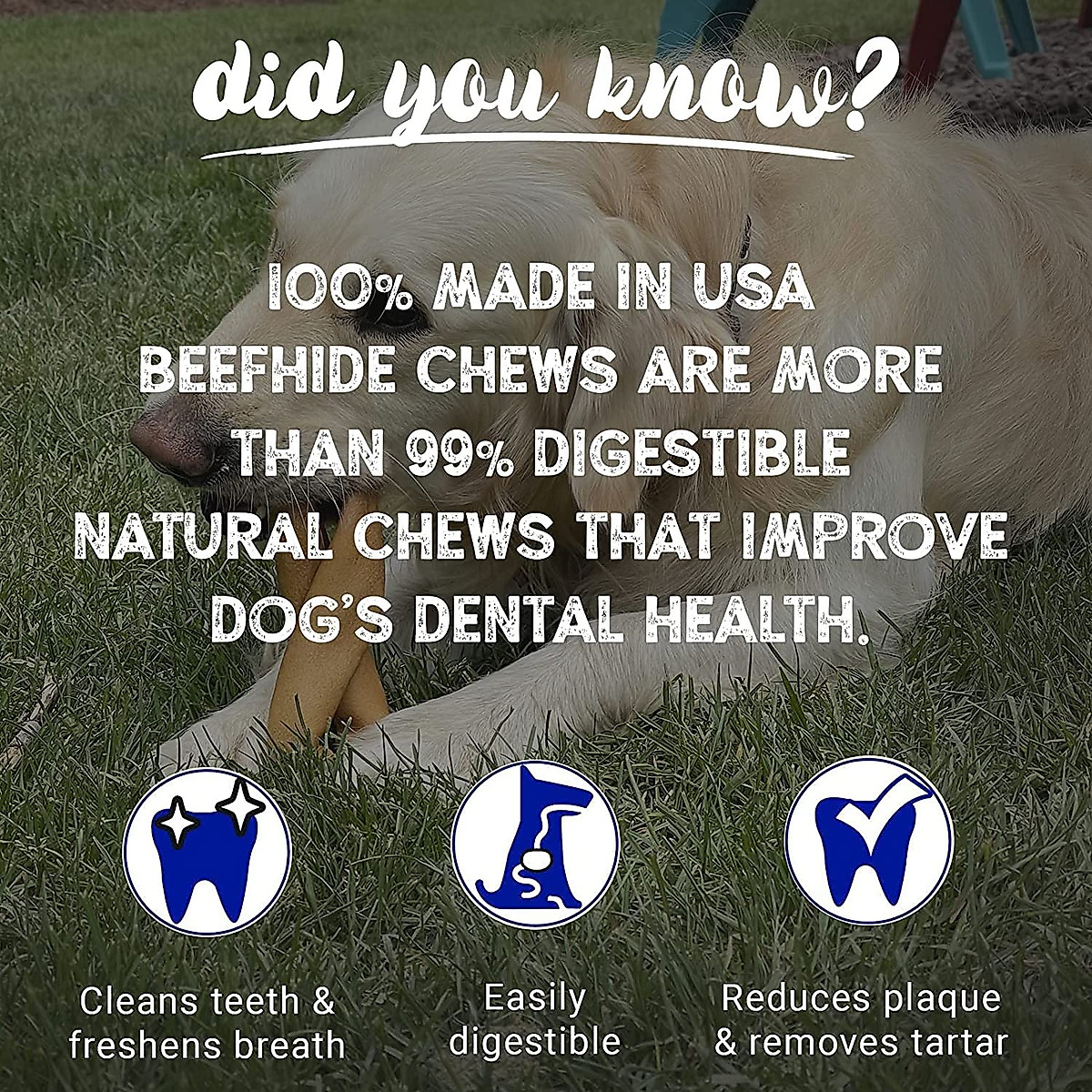 Pet Factory 100% Made in USA Beefhide 5" Chip Rolls Dog Chew Treats - Natural Flavor, 5 Count/1 Pack