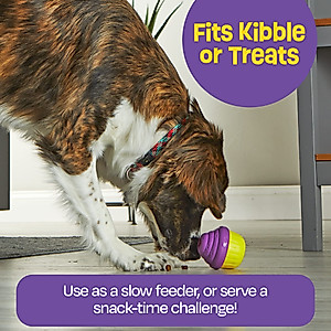 Brightkins Large Cupcake Treat Dispenser for Dogs - Interactive Dog Toys, Dog Birthday Toy for All Breeds