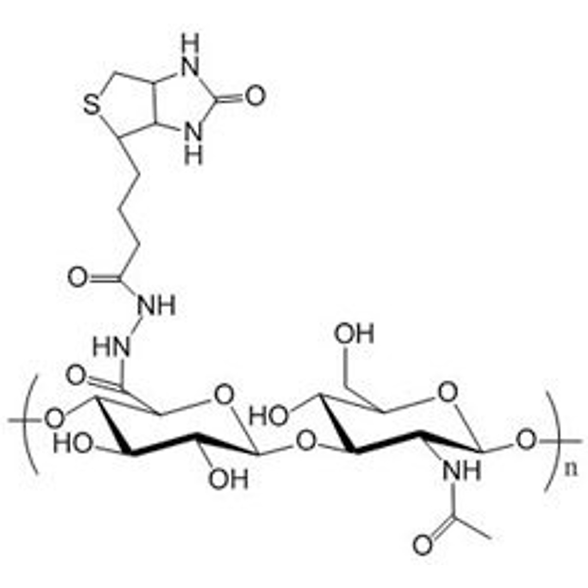 Hyaluronate-Biotin, MW 2,500kDa (10mg)