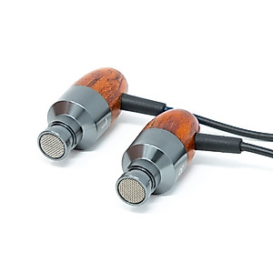 thinksound in20 - Professional in-ear Wired Earphones, Hi-Fi Clear Sound & Deep Bass, Secure Fit in Ear Monitor IEM Headphones, Sound Isolating, Wired Earbuds, Earphones, Gaming Earbuds