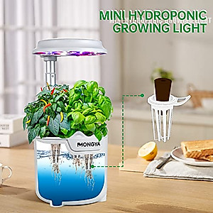Mini Hydroponics Growing System, Indoor Herb Garden Kit with LED Grow Light, Smart Hydroponic Garden Germination Kit for Home Kitchen, Automatic Timer,Height Adjustable, Bonus 9pcs Sponges (White)