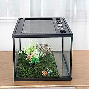 crapelles Frogs Glass Terrarium Feeding kit Tank, Waterproof,for Reptile Amphibians, Insect, Horned Frogs. Waterweed/Prairie Style Habitat,with Green Artificial Turf Pad,Natural Volcanic Rock