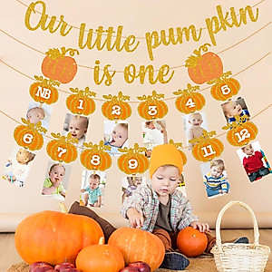 Fall Pumpkin 1st Birthday Photo Banner Autumn Pumpkin Birthday Photo Banner for Newborn to 12 Months Milestone Photograph Bunting Garland for Baby Boy Girl 1st Birthday Party Supplies