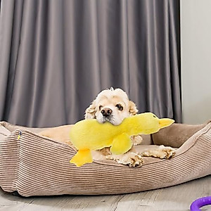 Mihachi Plush Squeaky Dog Duck Toys - Stuffed Pet Toy Duck Interactive Gifts for Dog Birthday Dogs Puppy Biting Chew Toys - for Medium and Large Dogs