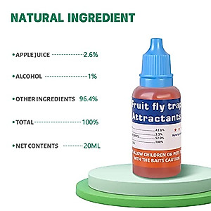 Fruit Fly Trap for Indoors, Safe Fly Catcher Gnat Trap Killer with Sticky Traps, Effective Gnat Trap with Bait, Non-Toxic and Odorless Fly Trap for Home,Kitchen
