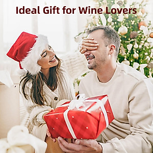 Wine Chillers Portable Champagne Cooler Stainless Steel Vacuum Insulated Wine Bottle Keep Wine Beverages Cold Gift for Wine Lover White