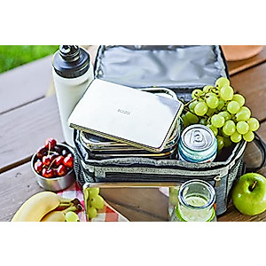 ecozoi Stainless Steel Lunch Chillers - Ice Packs for Lunch Bags, Lunch Boxes, Bento Boxes and Coolers - 2 Pack, Plastic-Free and Sustainable