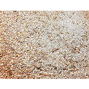 Josh's Frogs Mealworm & Superworm Wheat Bran Bedding and Food Source (5 Quarts)