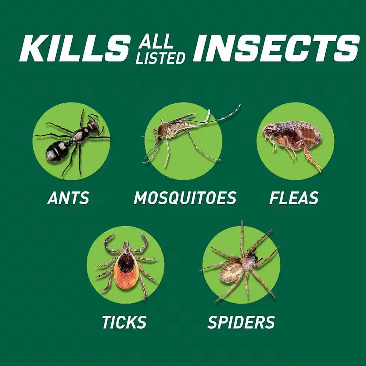 Ortho Bug B Gon Lawn & Landscape Insect Killer, 32 Fl oz. Ant, Flea, Tick, Flies, Spider Spray Mosquito Repellent Outdoor Patio, Home Defense Yard and Backyard, Pest Control + Pair of Safety Gloves