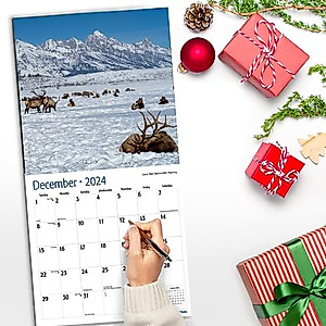 RED EMBER Untamed & Beautiful National Parks 2024 Wall Calendar 12 Month | 12" x 24" Open | Thick & Sturdy Paper | Giftable | Calendar 2024