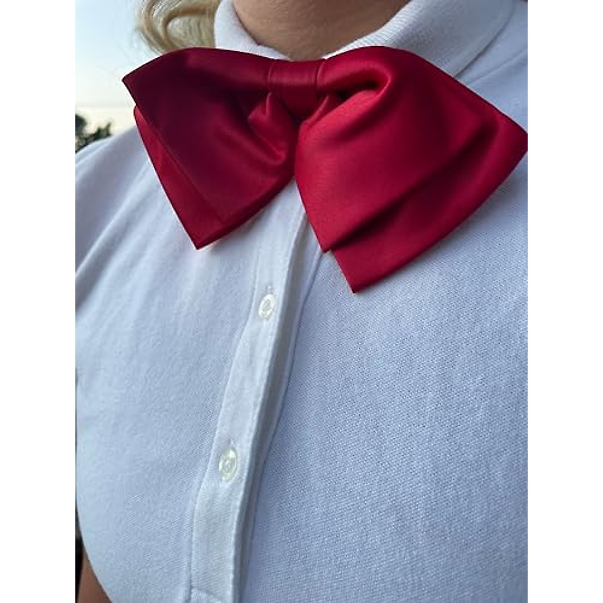 tiemart Solid Color Floppy Bow Tie (Red)