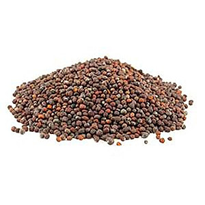 Non-GMO Broccoli Seeds for Sprouting Sprouts Microgreens (2 Ounces of Pure Seed). Country Creek LLC. Brand.