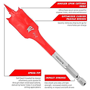 Diablo Spade Bit for Wood - Speed-TIP Design - Curved Paddle - 1/2" Diameter, 1/4" Hex Shank, 6" Length - DSP2050