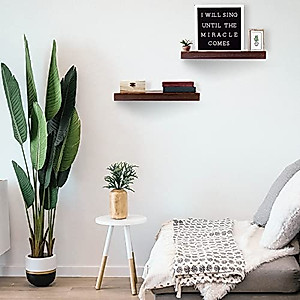 HOMESAURUS Floating Shelves Set of 2 Wall Mounted Shelves for Bedroom Decor, Bathroom Set, Living Room Decor and Kitchen Wall Shelves Decoration - Storage Shelf Rack & Display Shelves Decorations