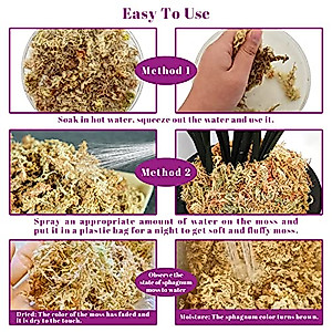 Legigo 5.3oz Premium Sphagnum Moss Potting Mix- Natural Succulent Carnivorous Plants Moss Dried, Plant Growing Medium for Orchid Succulent Sarracenia Orchid Gardening Plants Reptiles, 3 QT
