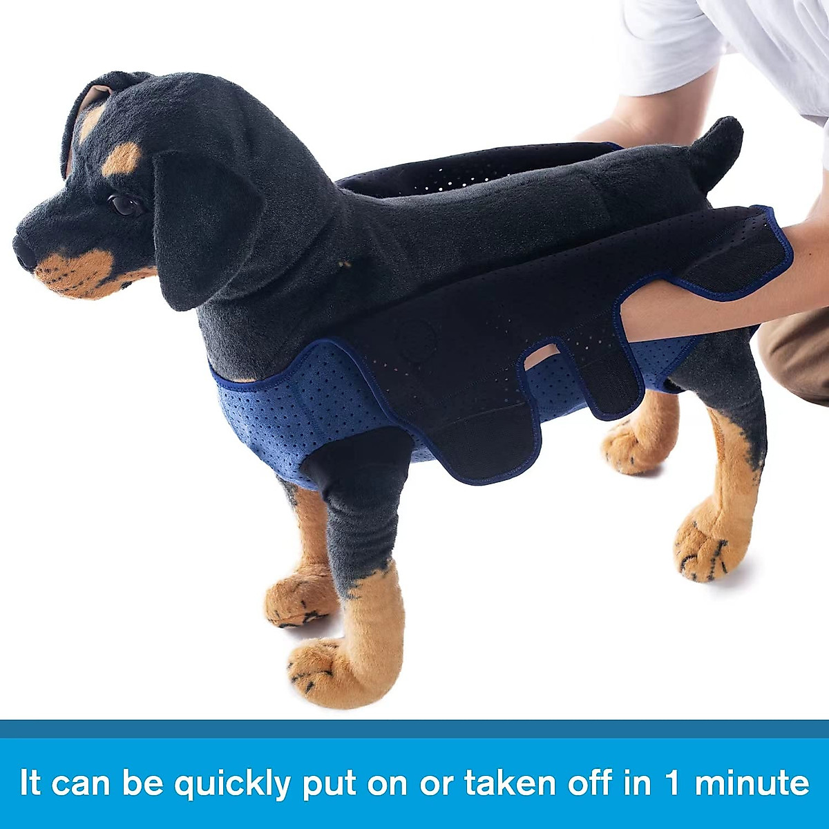 COODEO Dog Surgery Recovery Suit, Waterproof Recovery Suit for Dogs, Surgery Suit for Wounds Protect, Cone Alternative After Surgery, Dog Onesie for Surgery Female or Male (Blue, XS)