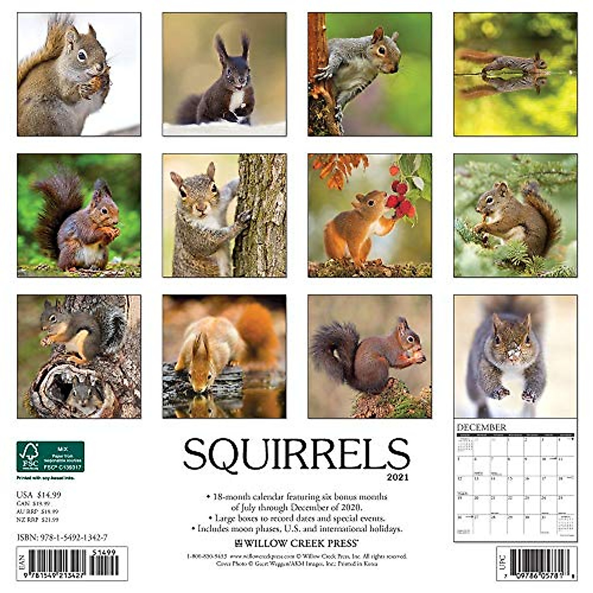 Squirrels 2021 Wall Calendar