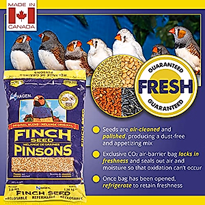 Hagen Finch Staple Vme Seed, 3-Pound